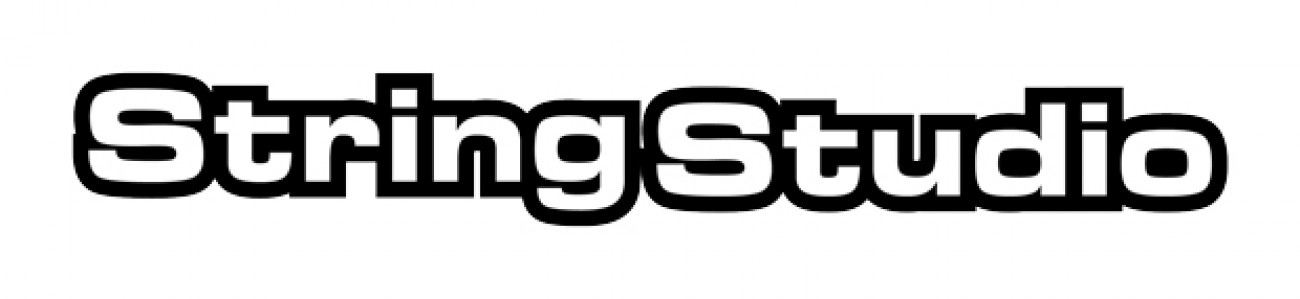 String Studio VS-3 | AAS | bestservice.com | EN