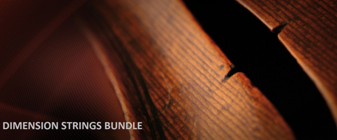Dimension Strings Bundle | VSL - Vienna Symphonic Library | bestservice ...