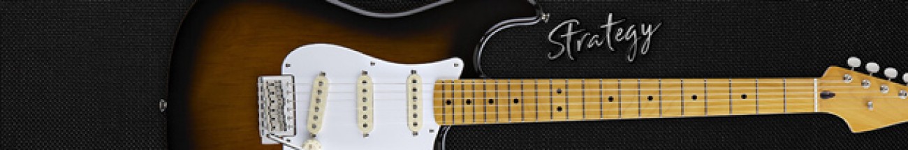 Strategy | Acousticsamples | bestservice.com | EN