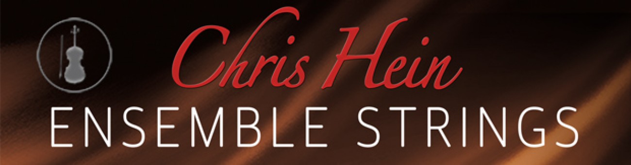 Chris Hein Ensemble Strings | Best Service | bestservice.com | EN