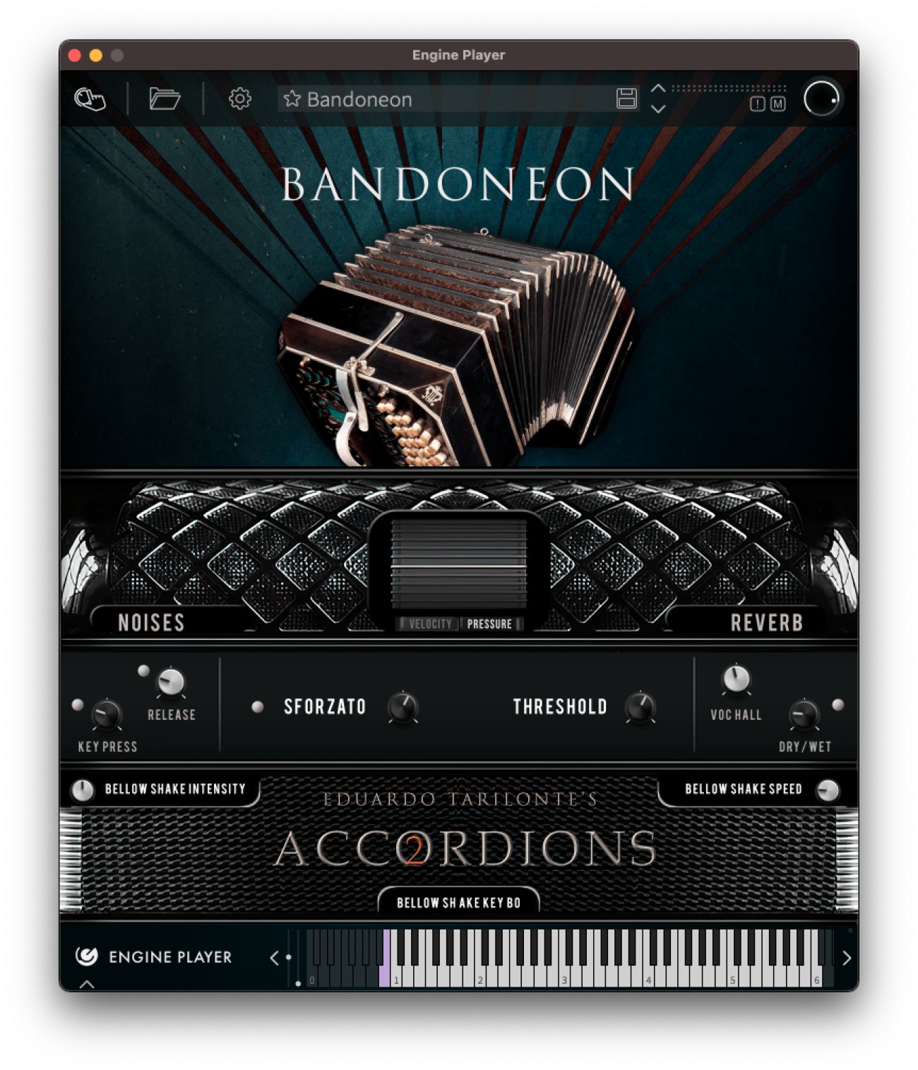 Accordions 2 - Bandoneon | Engine Audio | bestservice.com | EN