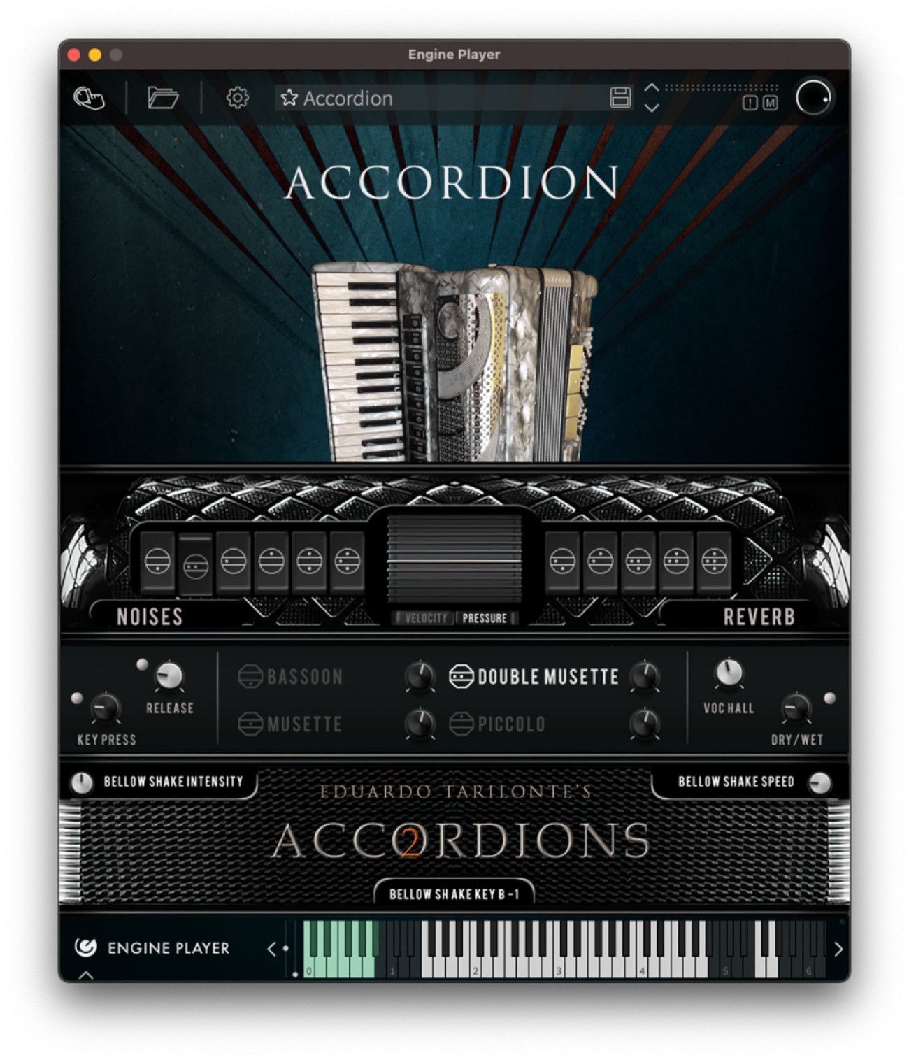 Accordions 2 - Collection Crossgrade | Engine Audio | bestservice.com | EN