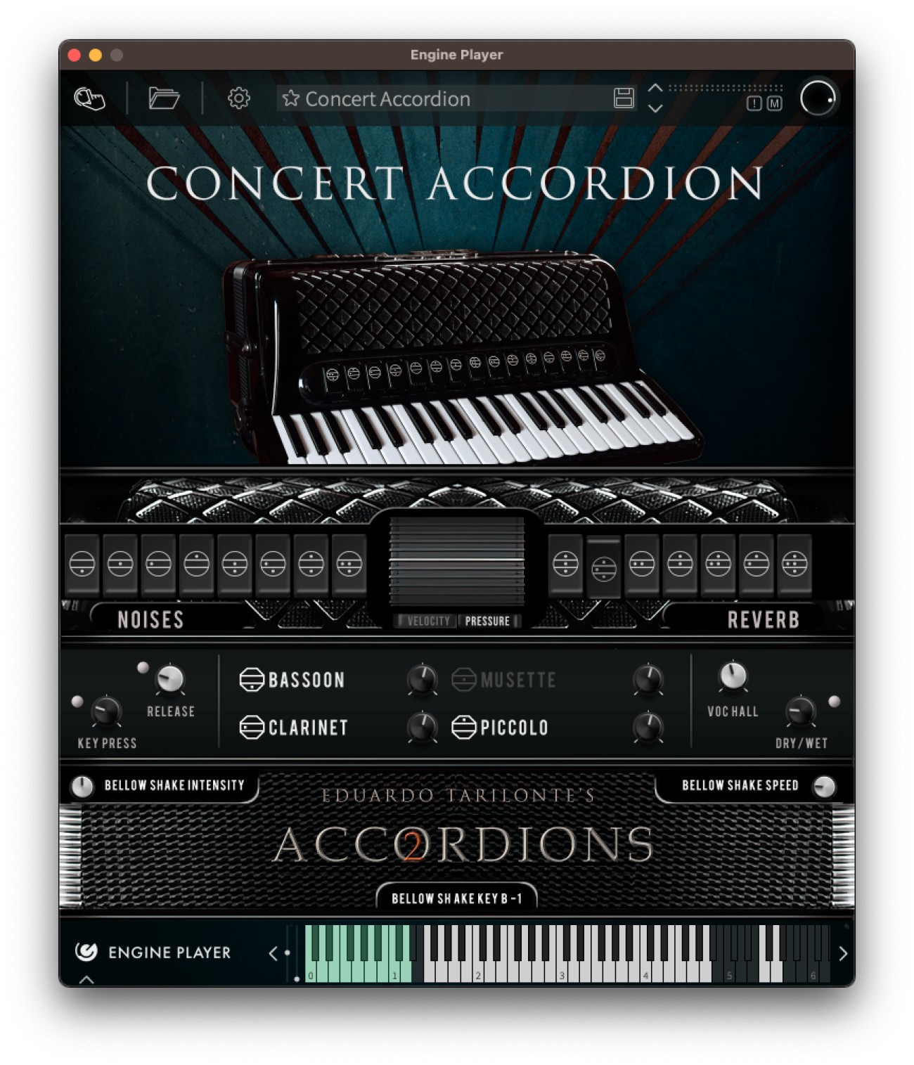 Accordions 2 - Concert Accordion | Engine Audio | bestservice.com | EN