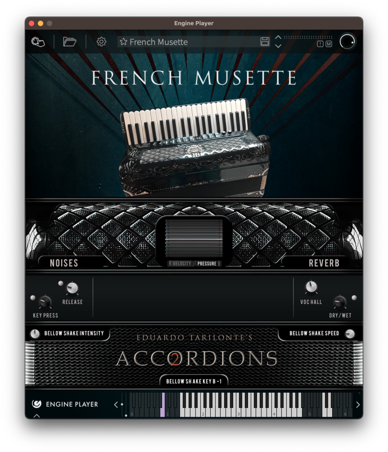 Accordions 2 - French Musette | Engine Audio | bestservice.com | EN