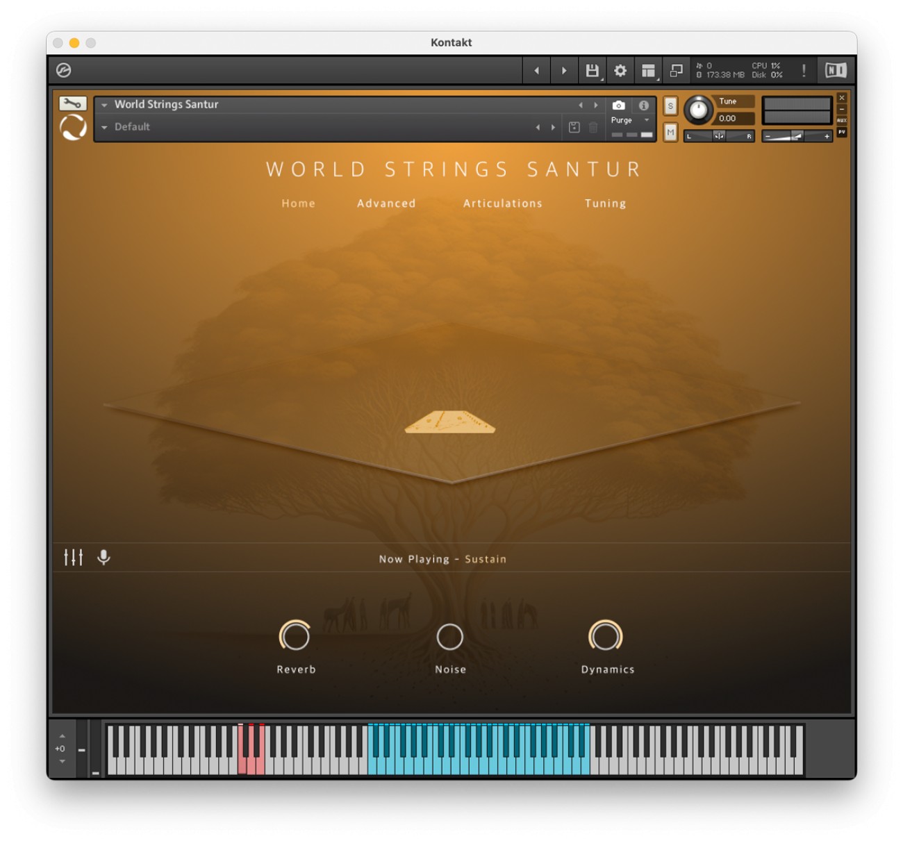 World Strings Santur | Evolution Series | bestservice.com | EN