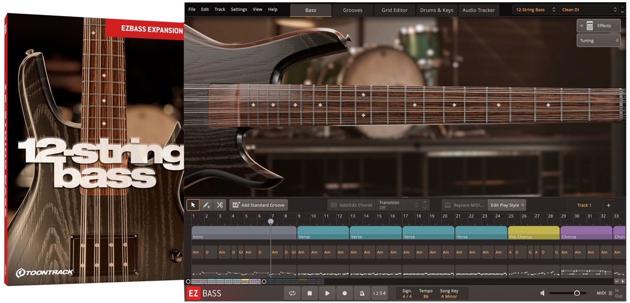 EBX 12-String Bass | Toontrack | bestservice.com | DE