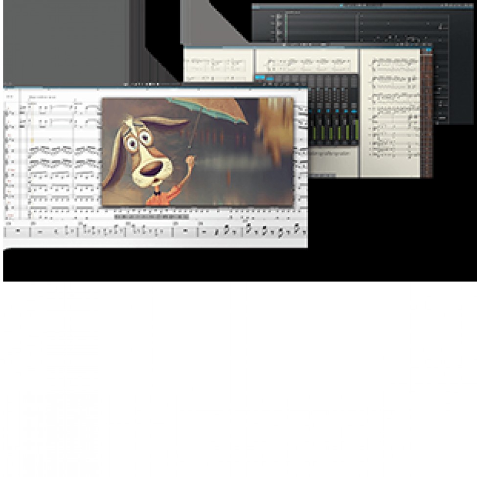 Notion 6 | Presonus | bestservice.com | EN