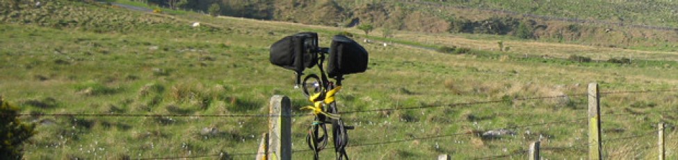 Studio Box Mark III | Best Service | bestservice.com | EN