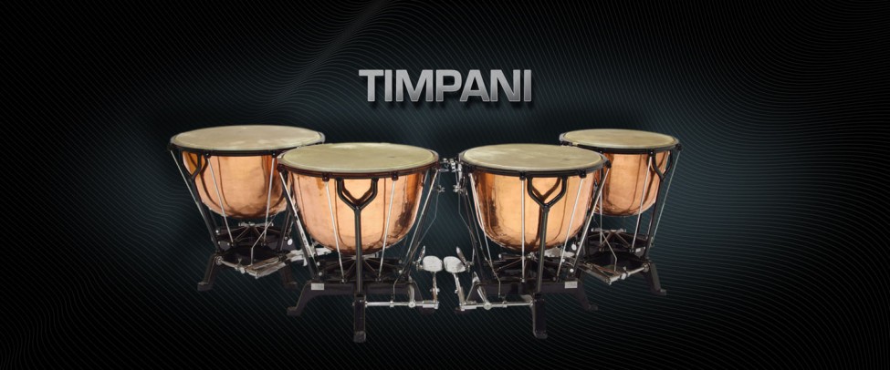 Timpani | VSL - Vienna Symphonic Library | bestservice.com | EN
