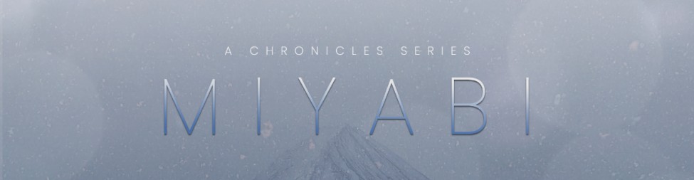 Chronicles Miyabi | Evolution Series | bestservice.com | EN