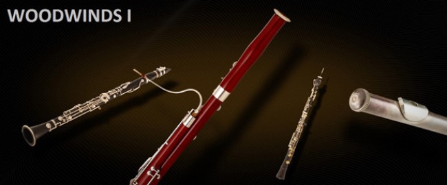 Woodwinds I | VSL - Vienna Symphonic Library | bestservice.com | DE