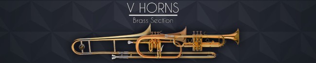 VHorns Brass Section | Acousticsamples | bestservice.com | EN