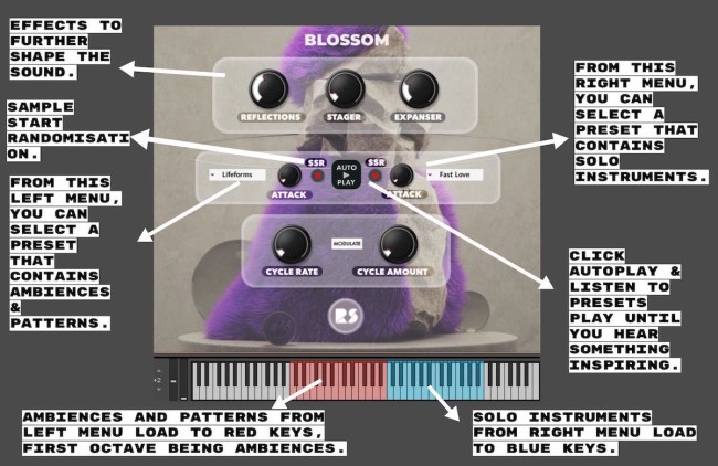 RS Blossom | Rast Sound | bestservice.com | EN