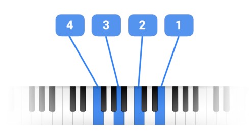 Divisimate Micro | Nextmidi | bestservice.com | EN