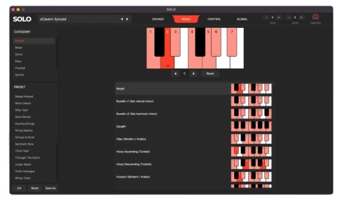 SOLO: World Lead Synth | TAQSIM | bestservice.com | EN