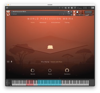 World Percussion Mbira | Evolution Series | bestservice.com | EN