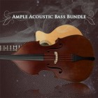 Ample 2in1 Acoustic Bass Bundle | Ample Sound | bestservice.com | EN