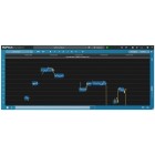 RePitch Standard | Synchro Arts | bestservice.com | EN