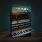 CATTANEO Upright Piano | HAVE Audio | bestservice.com | EN