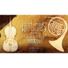 Afflatus Bundle | Strezov Sampling | bestservice.com | EN