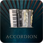 Accordions 2 - Accordion | Engine Audio | bestservice.com | EN
