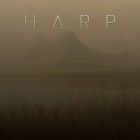 World Strings Harp | Evolution Series | bestservice.com | EN