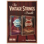 Vintage Strings Bundle | Big Fish Audio | bestservice.com | EN
