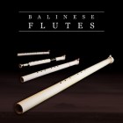 Balinese Flutes | Soniccouture | bestservice.com | EN