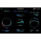 Punch | Zynaptiq | bestservice.com | EN