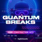 Quantum Breaks: EDM Construction Kits | Big Fish Audio | bestservice ...